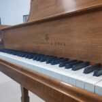 Home - Daynes Music Company