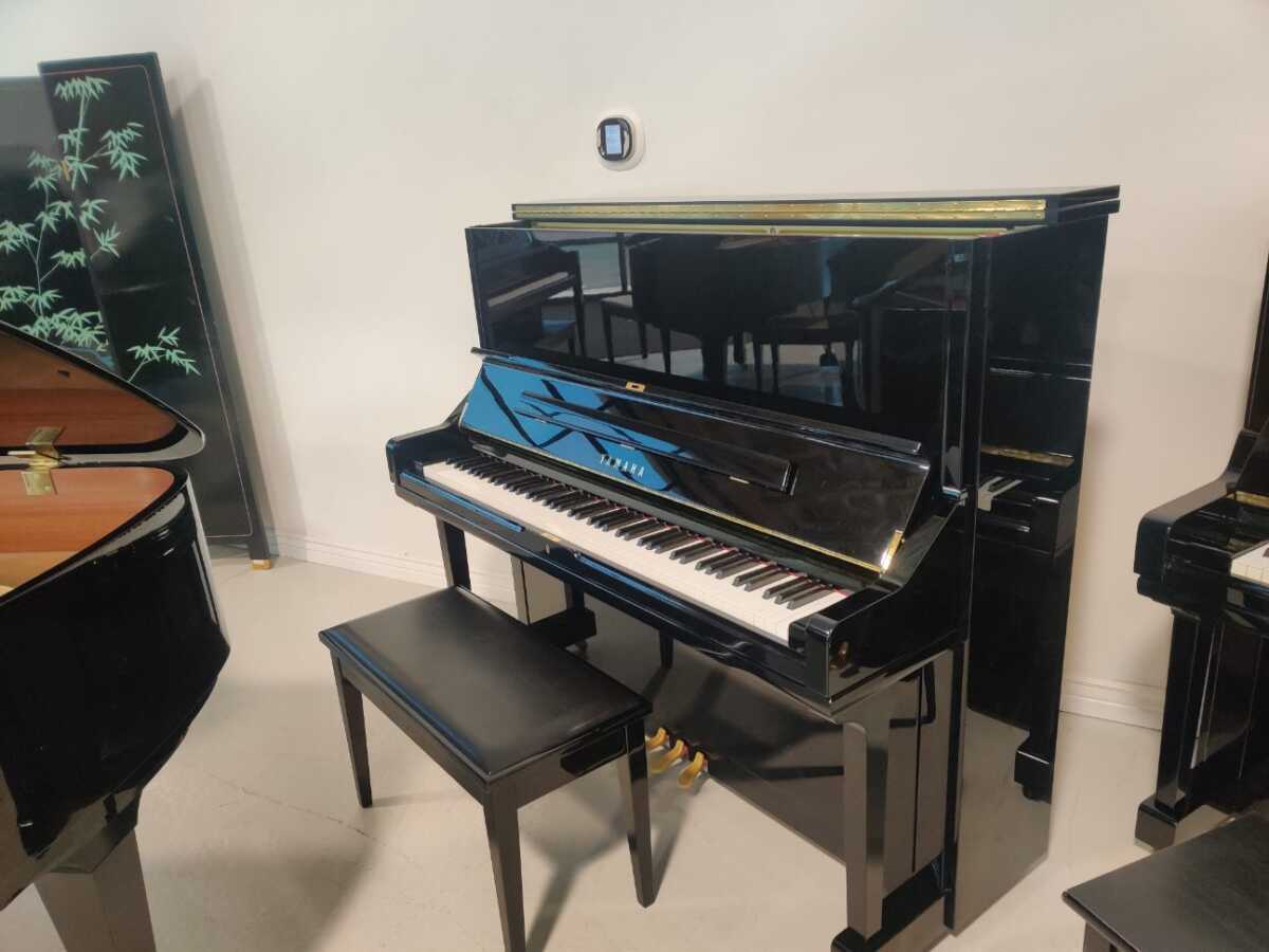 Home - Daynes Music Company