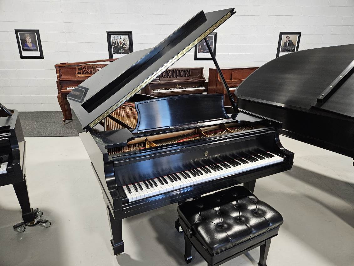 Home - Daynes Music Company