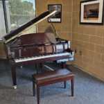 Home - Daynes Music Company