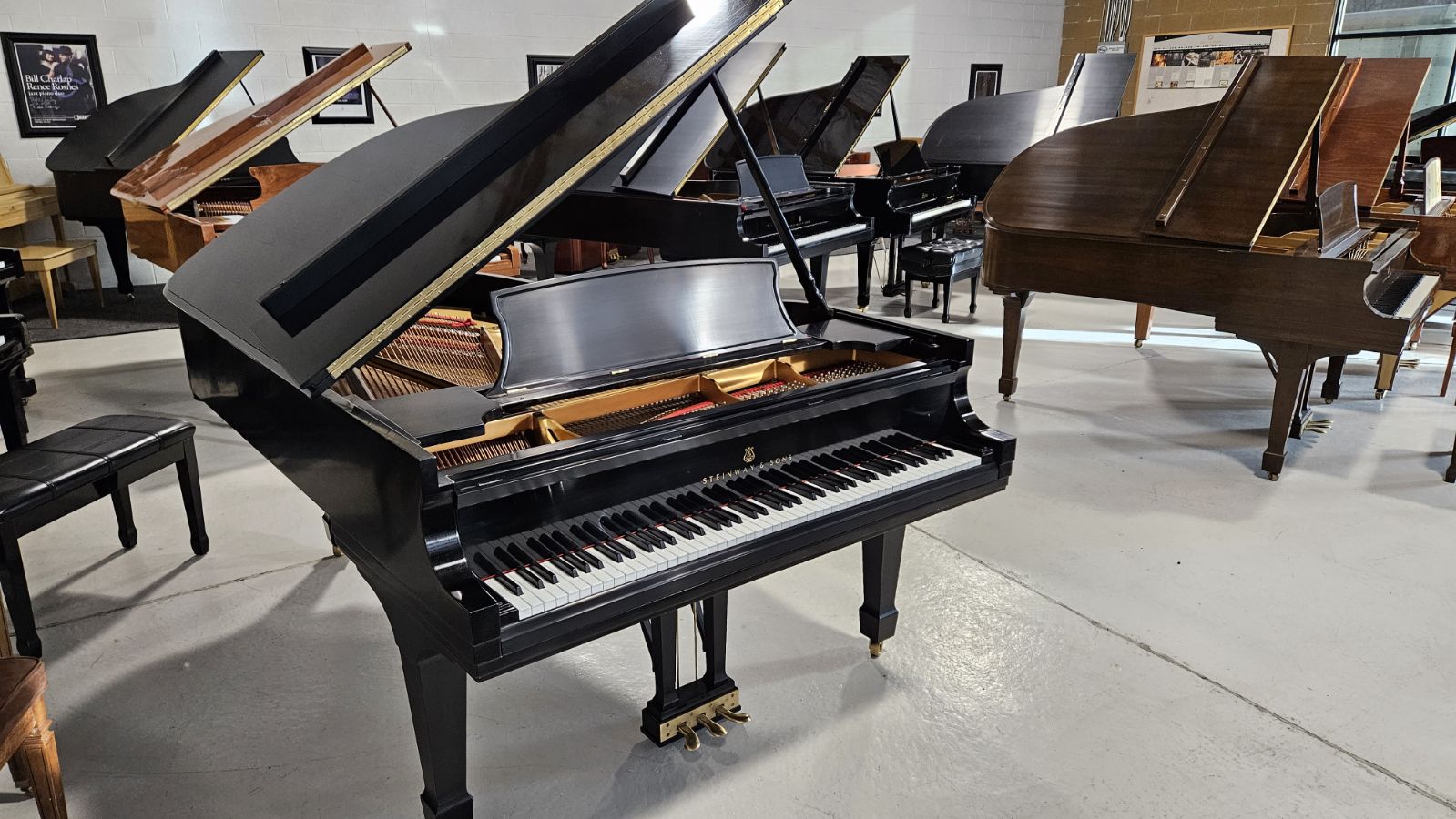 Home - Daynes Music Company