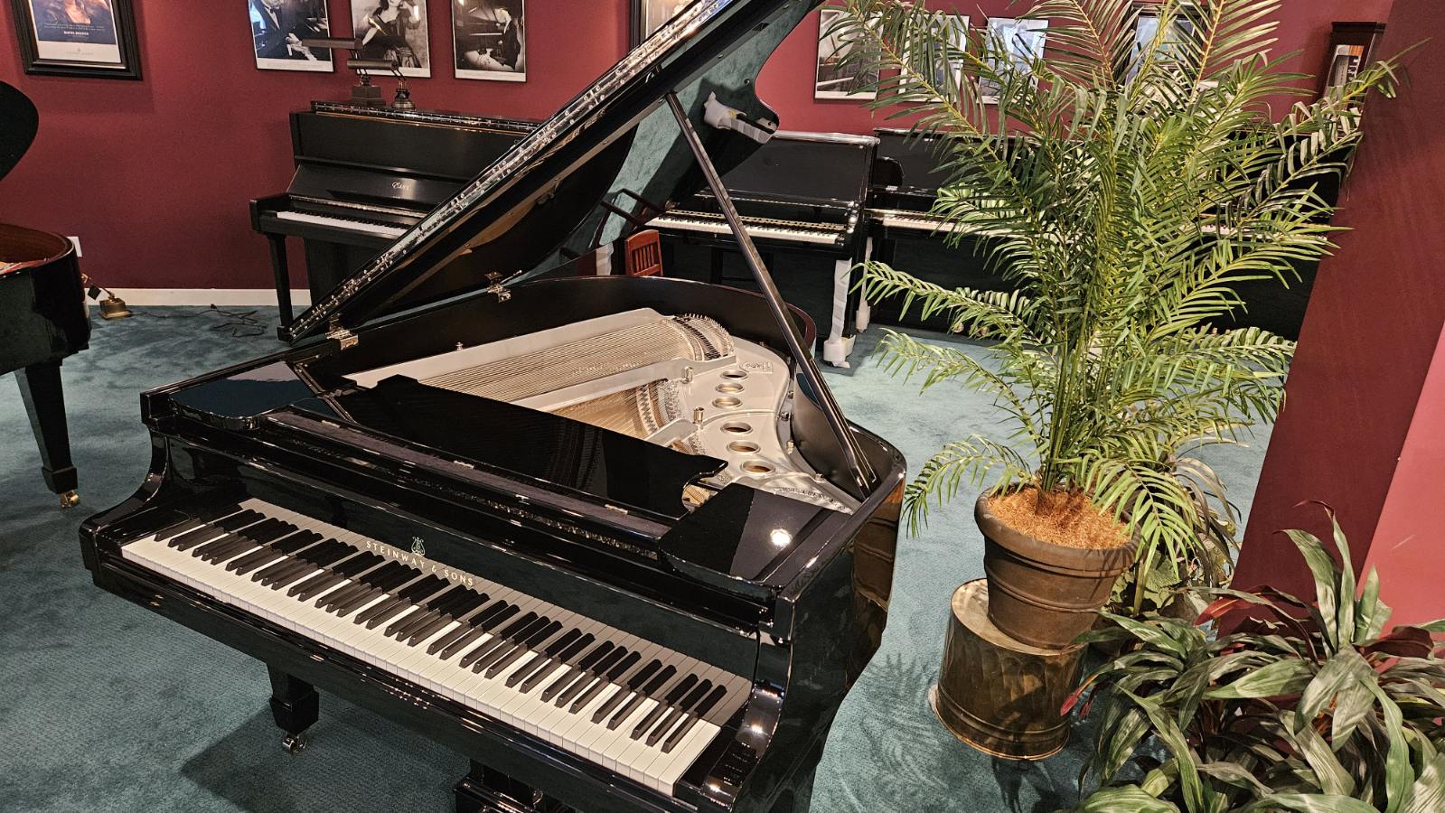 Home - Daynes Music Company