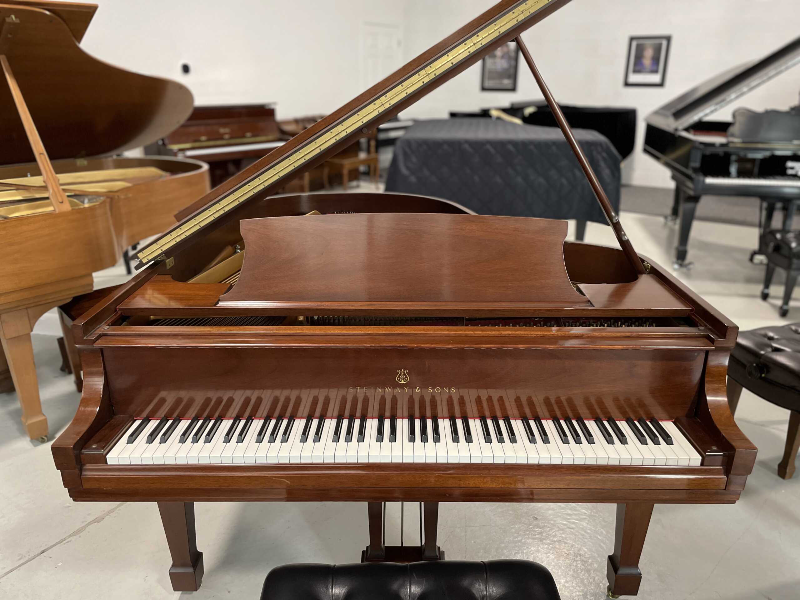 Home - Daynes Music Company